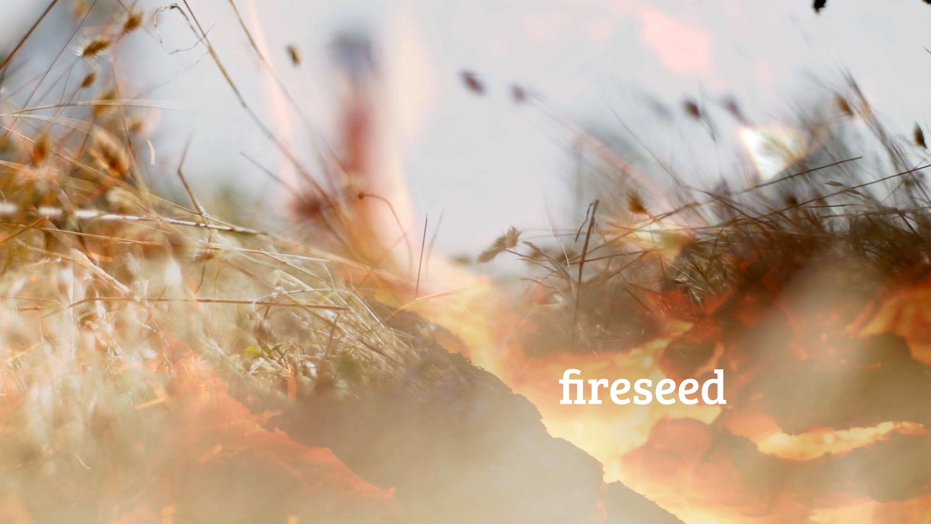 Fireseed - Catherine Graham - Vancouver Review Media